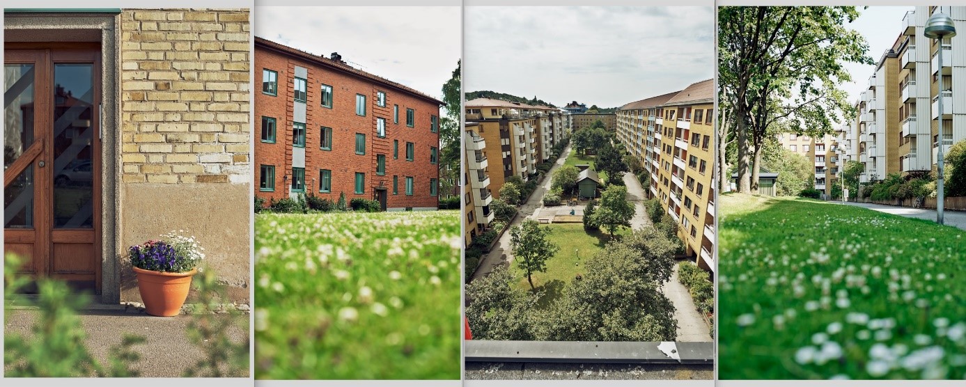 Glad vår - Ernst Rosén